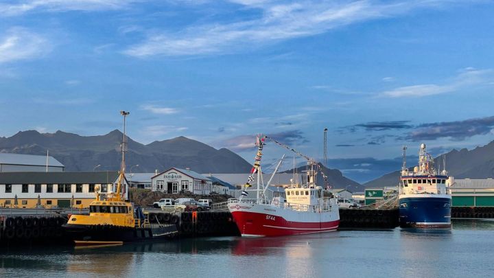 The Food Lover's Guide to Höfn, Iceland: Best Eats and Treats ...